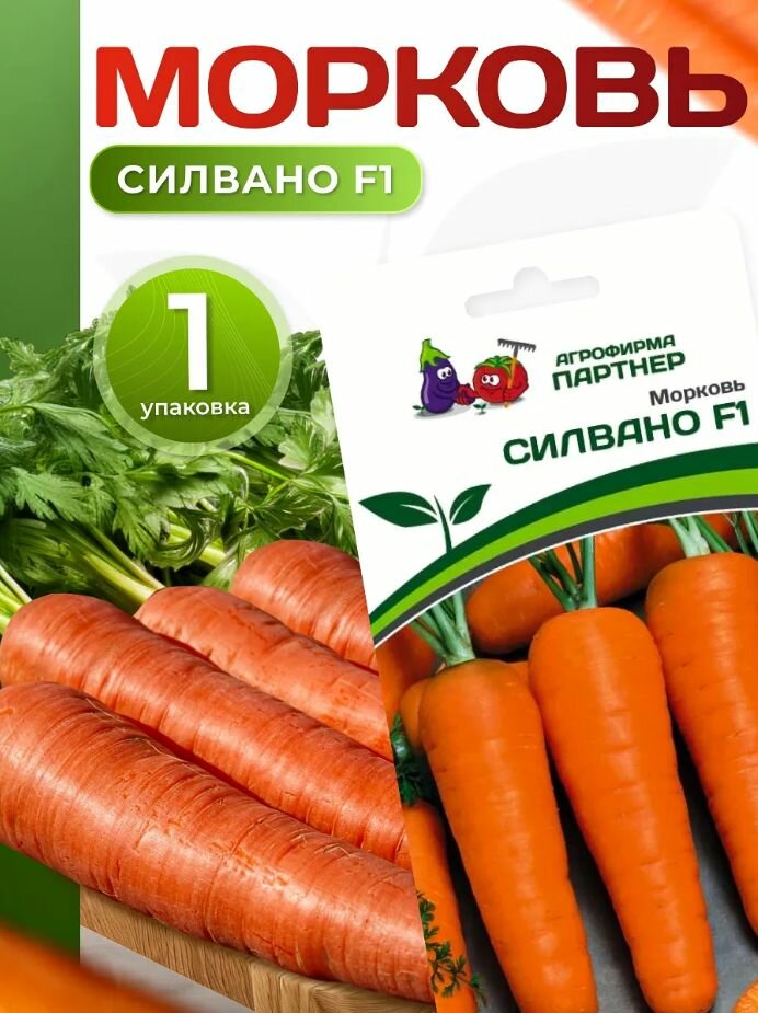 Семена моркови Силвано