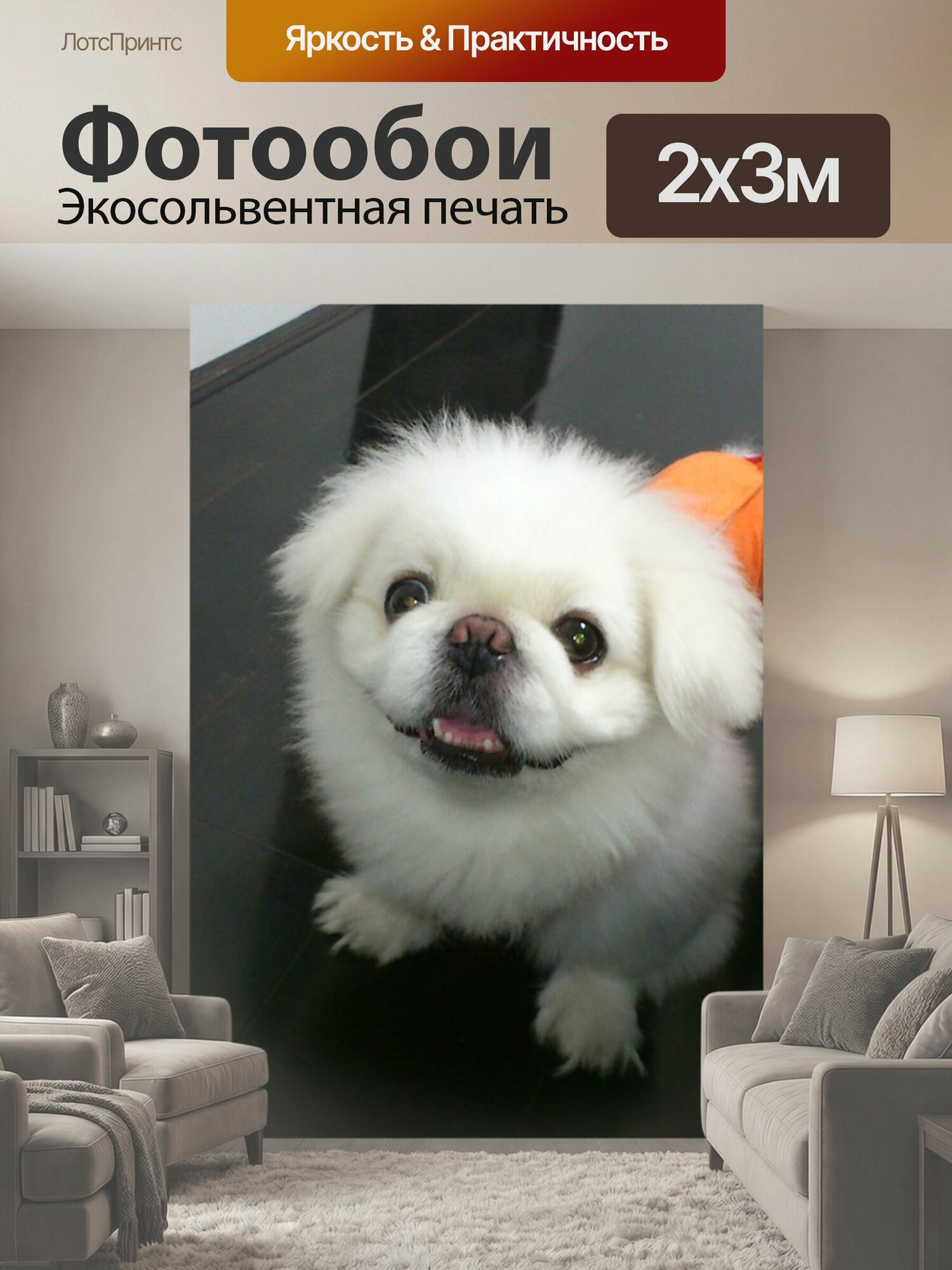 Фотообои "Собака, лев мару, пекинес" 200x300 см. экосольвентная печать