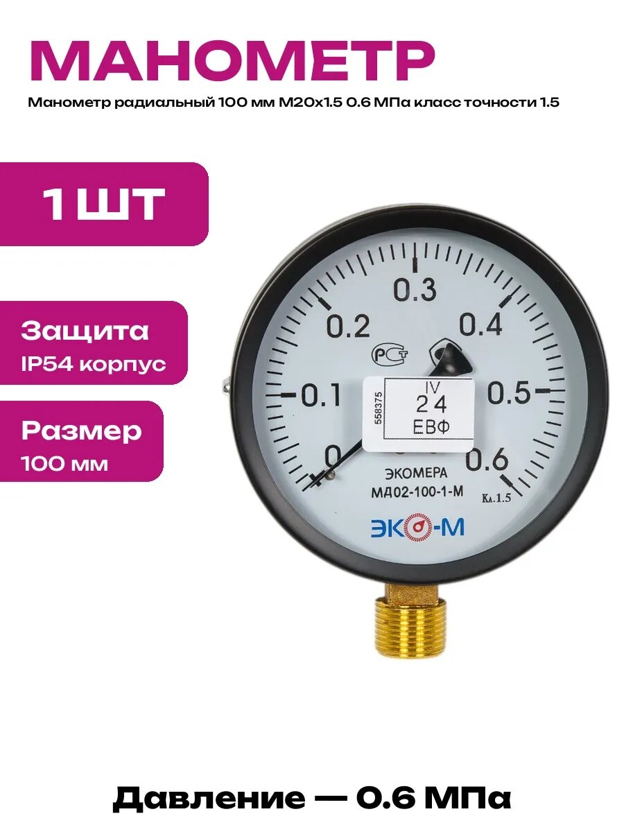 Манометр 0.6 МПа шкала 100 мм радиальный штуцер М20х1.5 IP54
