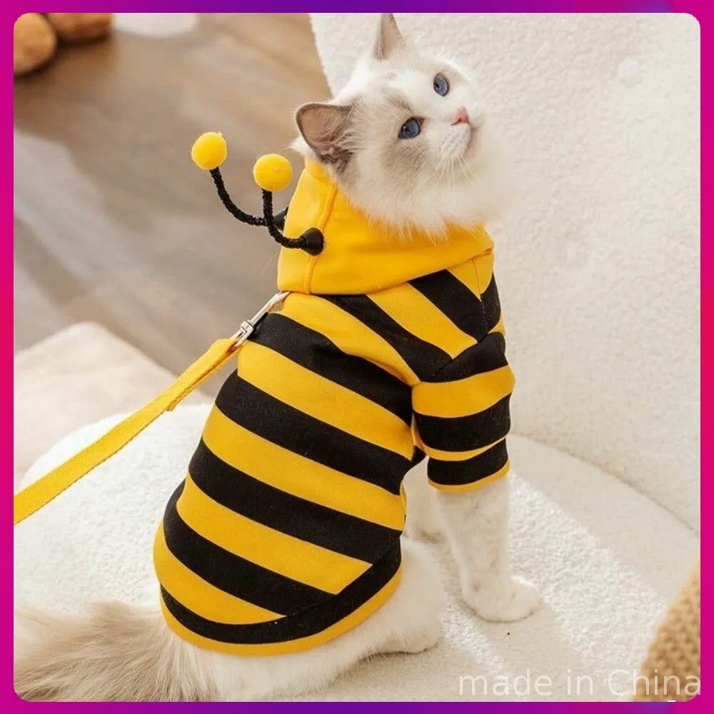 Костюмы для котиков на праздник