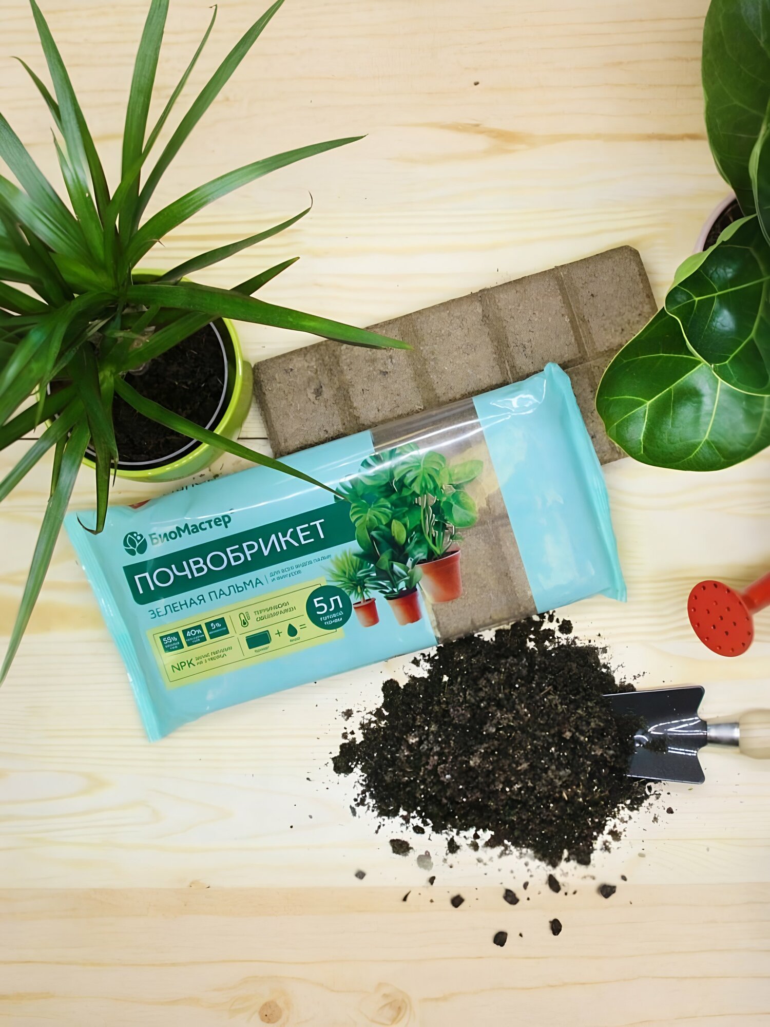 Грунт для пальм БиоМастер Почвобрикет Зеленая Пальма, 5 л, торф, для комнатных растений