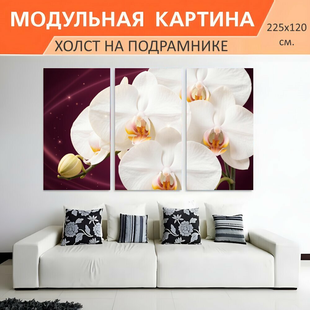 Модульная картина на холсте "Белые орхидеи на бордовом фоне. Изящные крупные цветы с нежными лепестками и бутоном, на фоне глубокого." триптих на подрамнике 225х120 см. для интерьера