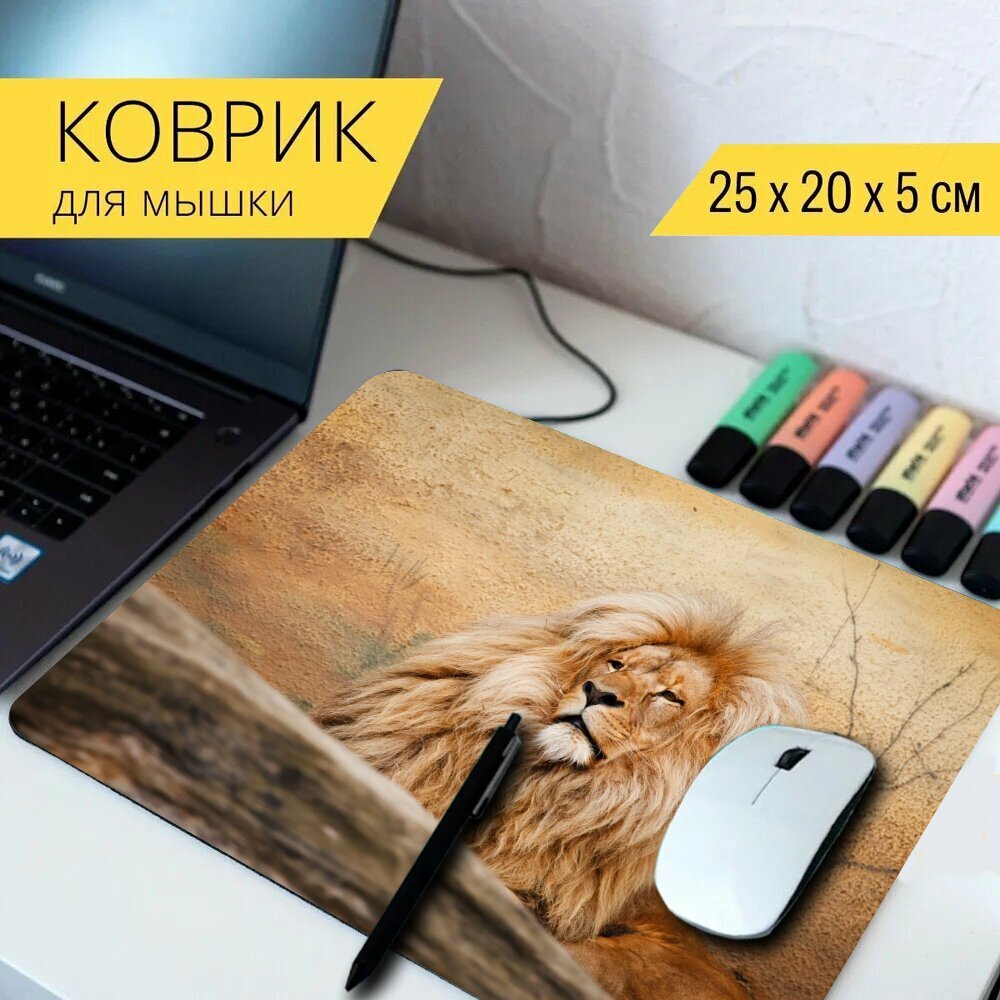 Коврик для мыши с принтом "Самца льва лев, ища, на что-то Африки животных кошки отдыхает лица кошачьи мех волосы царь лев мужчина сафари дикая природа желтый" 25x20см.