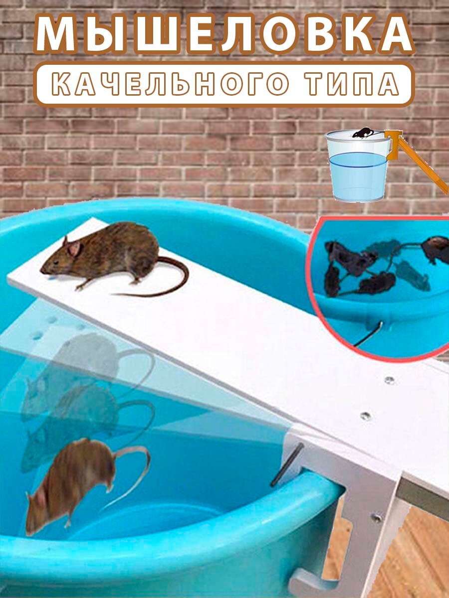 Мышеловка качельного типа, установка на ведро