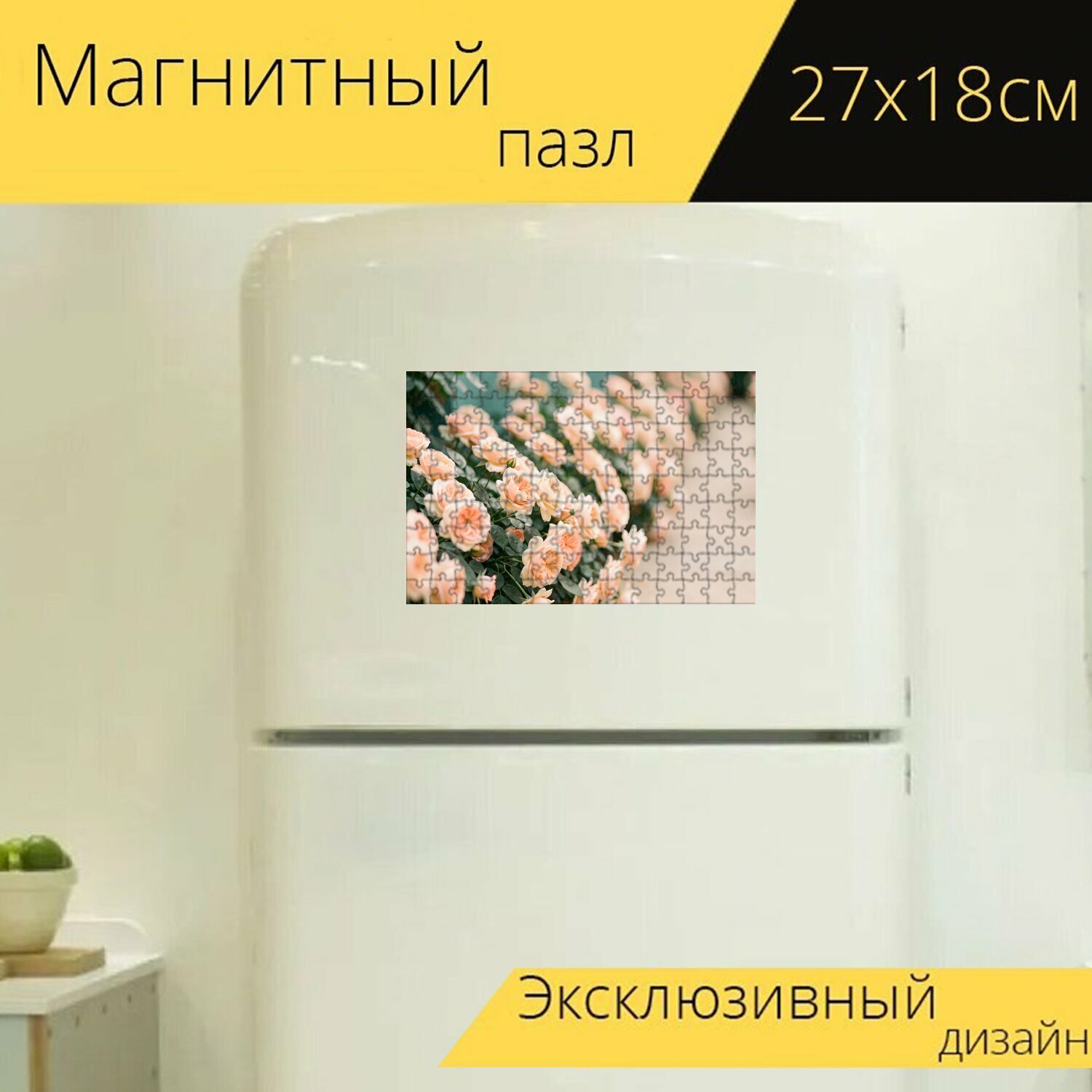 Магнитный пазл "Нежные персиковые розы в саду. Цветущие кусты с кремово-абрикосовыми бутонами вдоль садовой дорожки, мягкий фокус, пастельные оттенки." на холодильник 27 x 18 см.