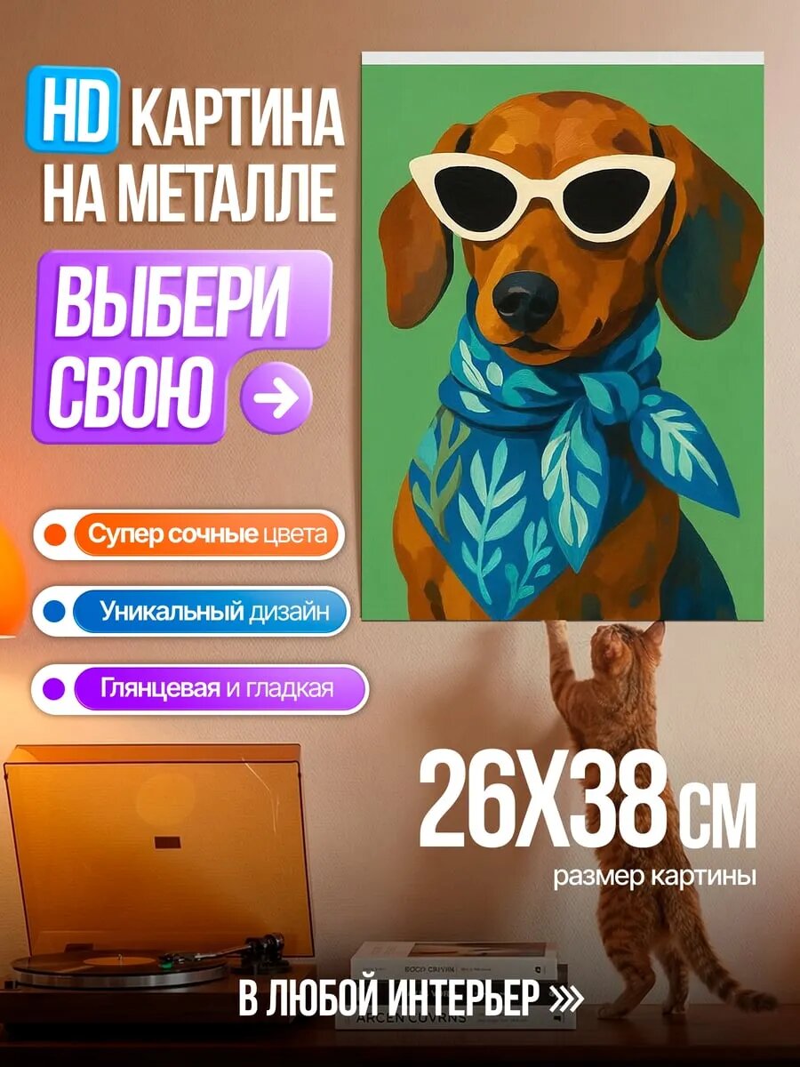 Картина на HD металле Такса в очках
