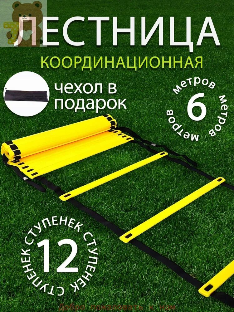 Координационная дорожка