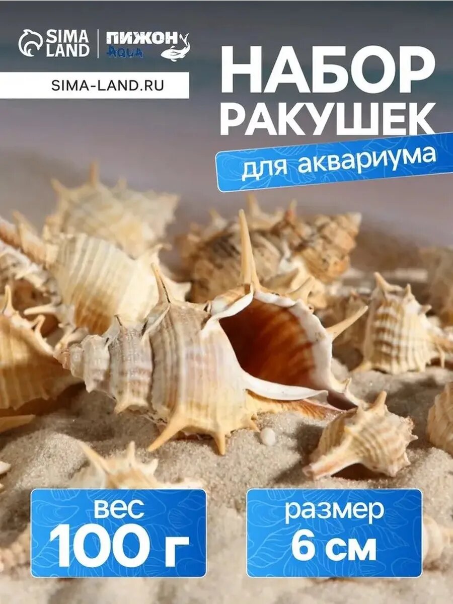 Набор натуральных ракушек для аквариума