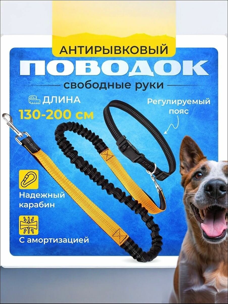 Поводок для собак с амортизатором, Пояс антирывковый для бега с собакой, 2 м, MarrSell