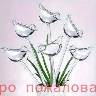 Автополив 90 л, 3 шт, цвет прозрачный