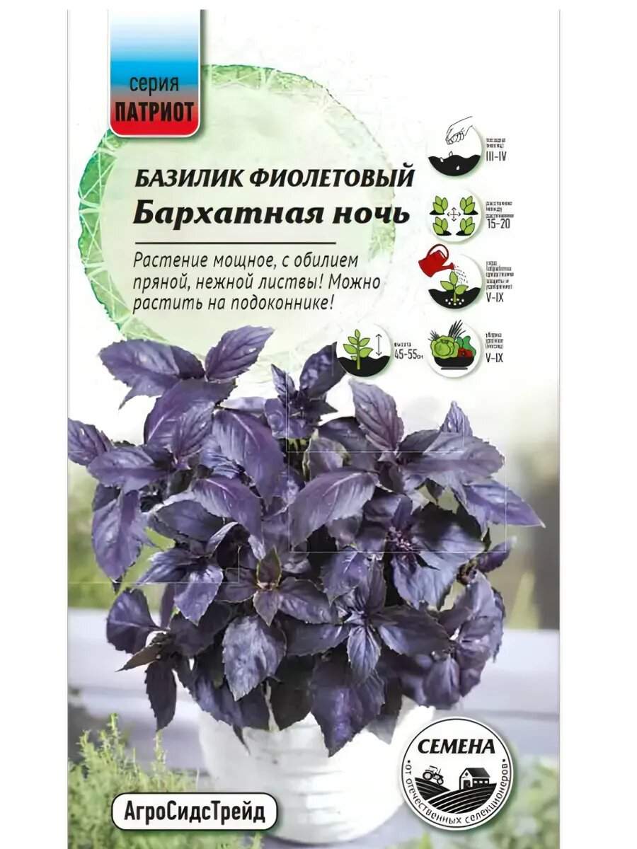 Семена базилик Бархатная ночь