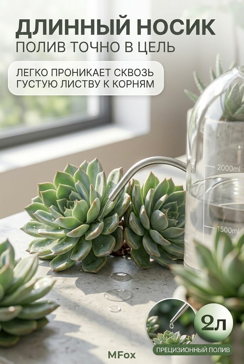 Лейка, 2 л 1 шт — фото 1