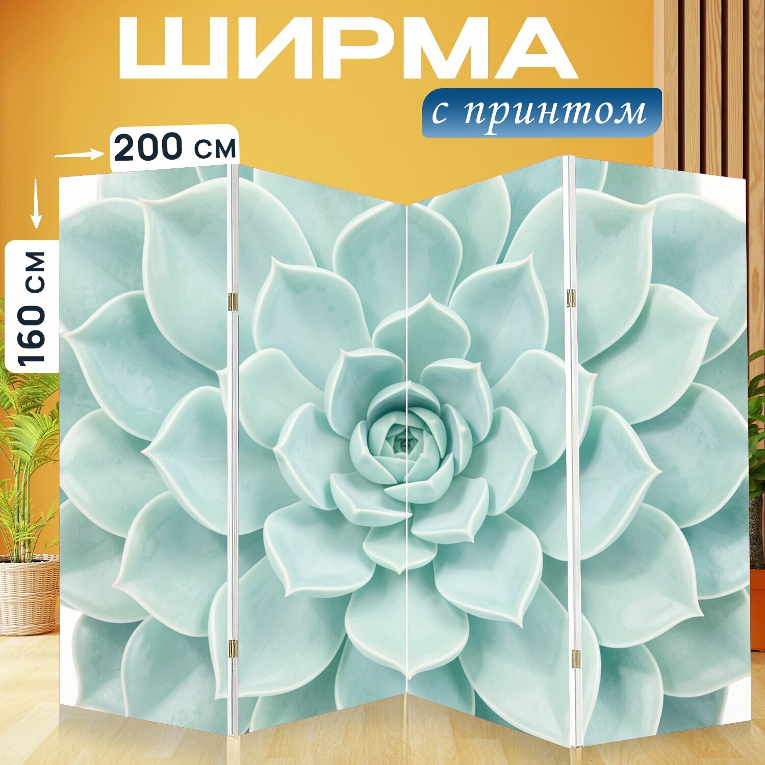 Ширма "Мятный суккулент крупным планом. Нежная ботаническая композиция с розеткой мясистых листьев." перегородка для зонирования комнаты с принтом 200x160 см. на холсте