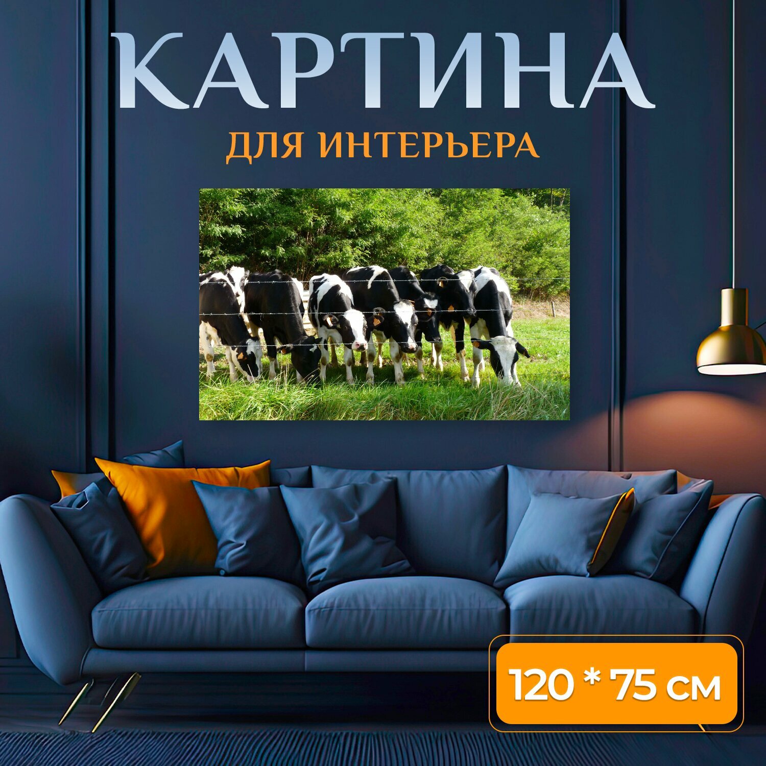 Картина на холсте "Коровы Линия пасущимися коровами. корова коровы крупного рогатого скота ферма трава едят выпас говядина мясо икры" на подрамнике 120х75 см. для интерьера