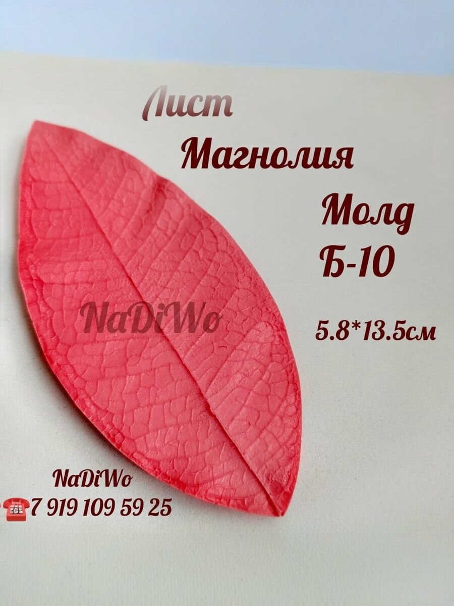 Молд пластиковый для изолона и фоамирана лист магнолии (5,8*13,5 см) Б-10