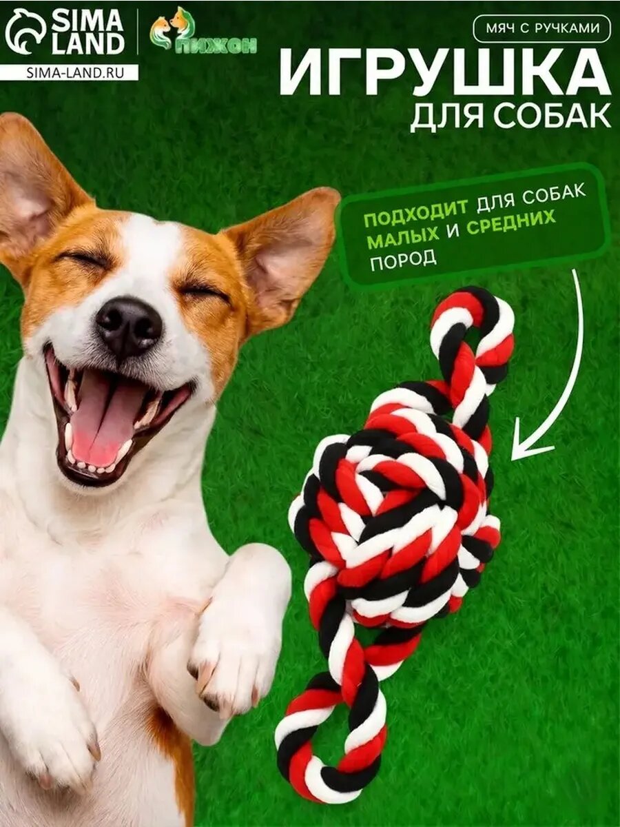 Игрушка для крупных собак — Мяч с ручками, 22 см