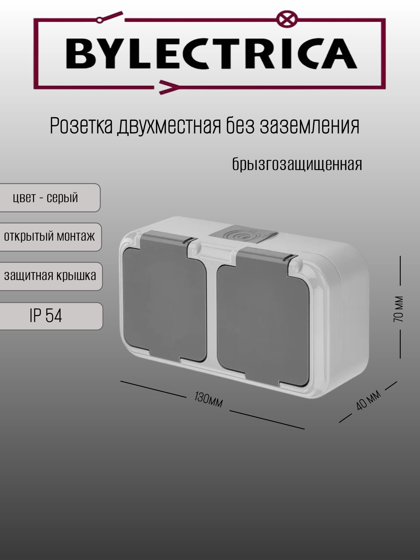 Розетка 2-местная пралеска аква, серый