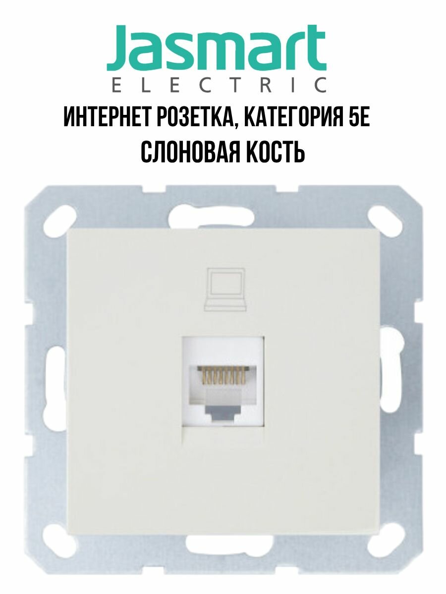 Интернет-розетка RJ45 категория 5е с накладкой jasmart