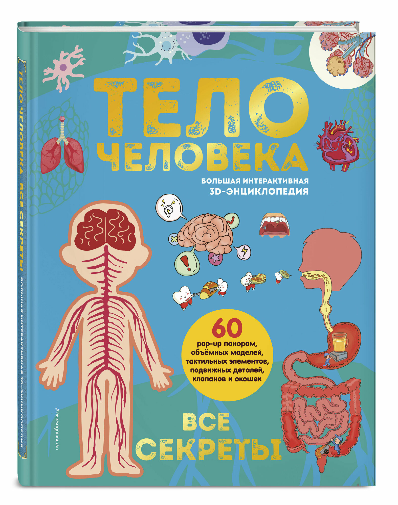 Тело человека. Все секреты. Большая интерактивная 3D-энциклопедия