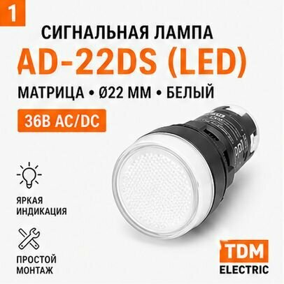 Лампа AD-22DS(LED)матрица d22мм белый 36В AC/DC TDM