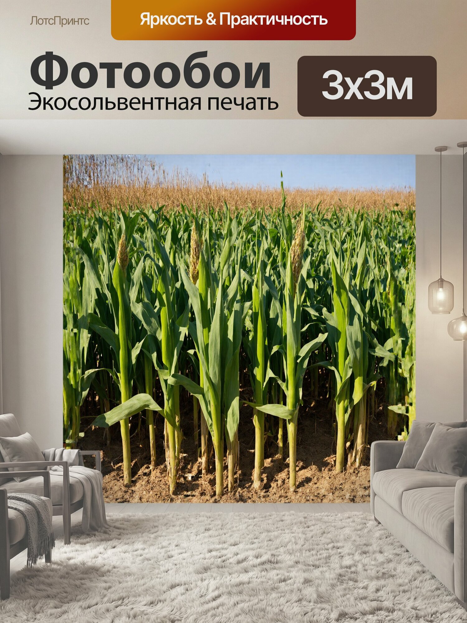 Фотообои "Кукурузное поле с початками, готовыми к сбору" 300x300 см. экосольвентная печать