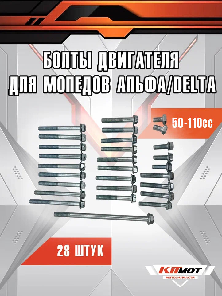 Набор болтов двигателя, для мопедов Alfa/Delta 50-110, серебристый, 28 шт