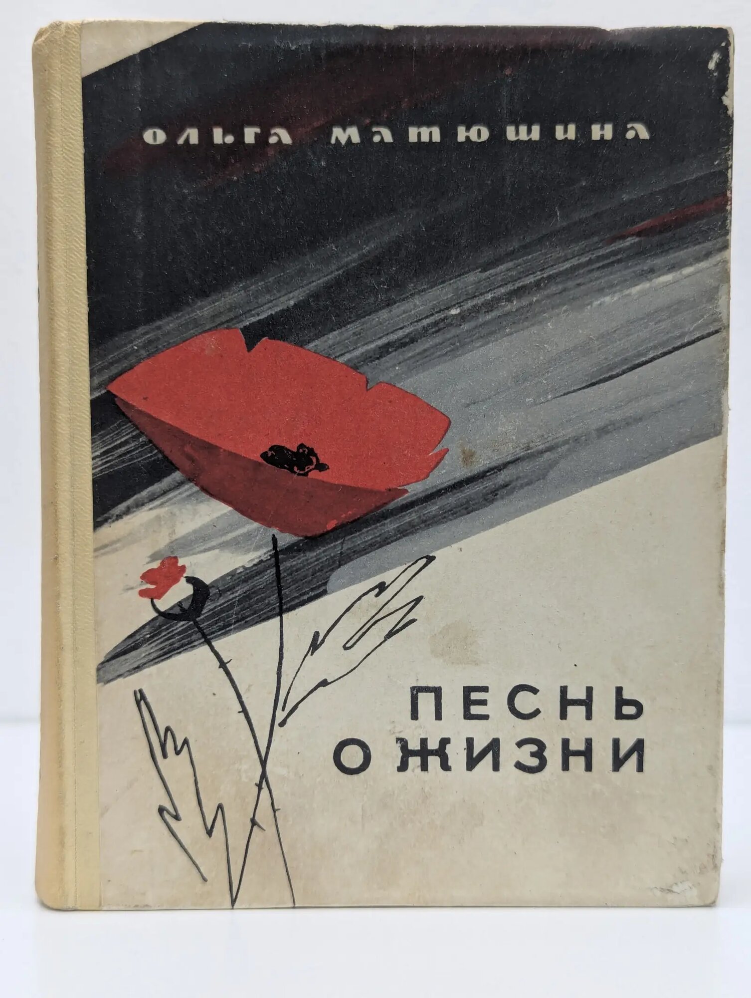Песнь о жизни Матюшина Ольга Константиновна 1970