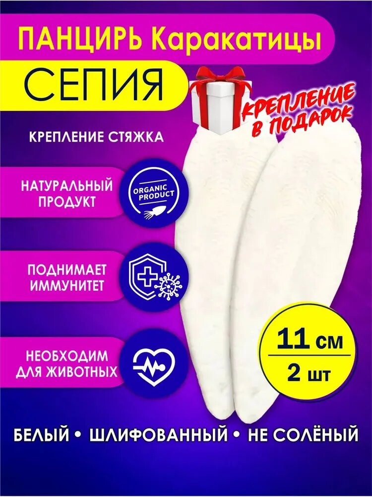 Сепия 11 см 2 штуки, панцирь каракатицы для улиток, черепах, попугаев, рептилий, корм для птиц