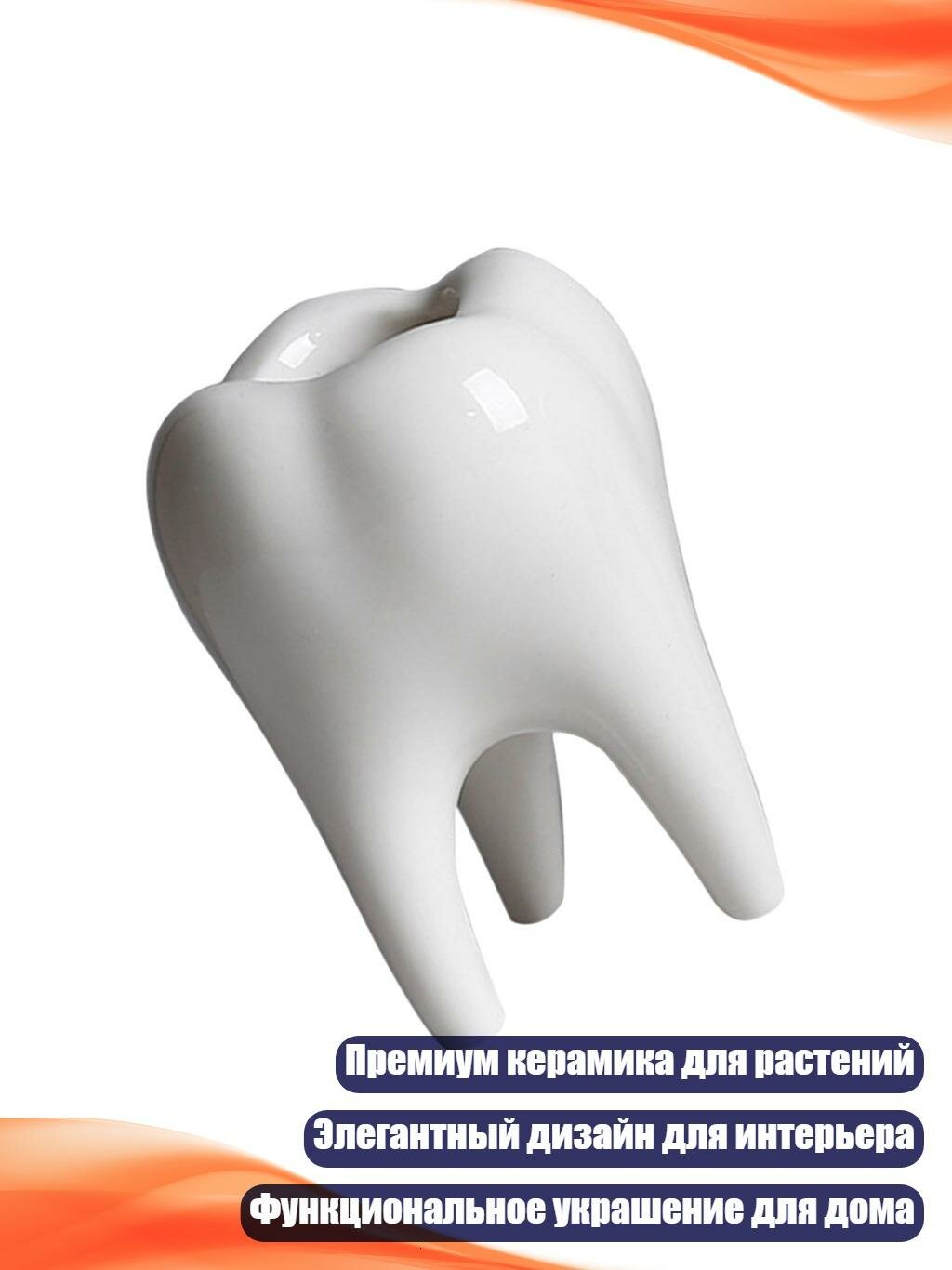 Керамический горшок для кактусов в форме зуба, Белый