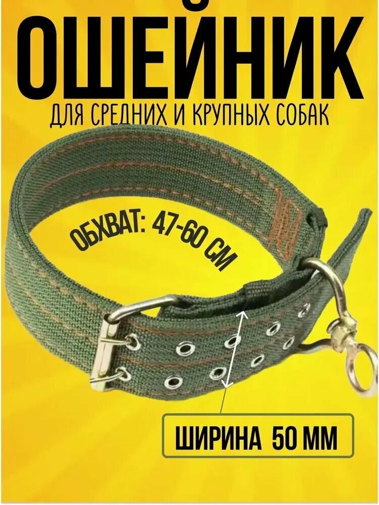 Ошейник каждый день.