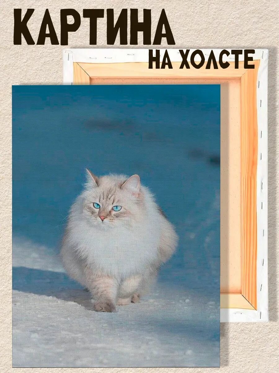 Картина на стену Милые котики, на подрамнике, 1шт, 25х17 размер.