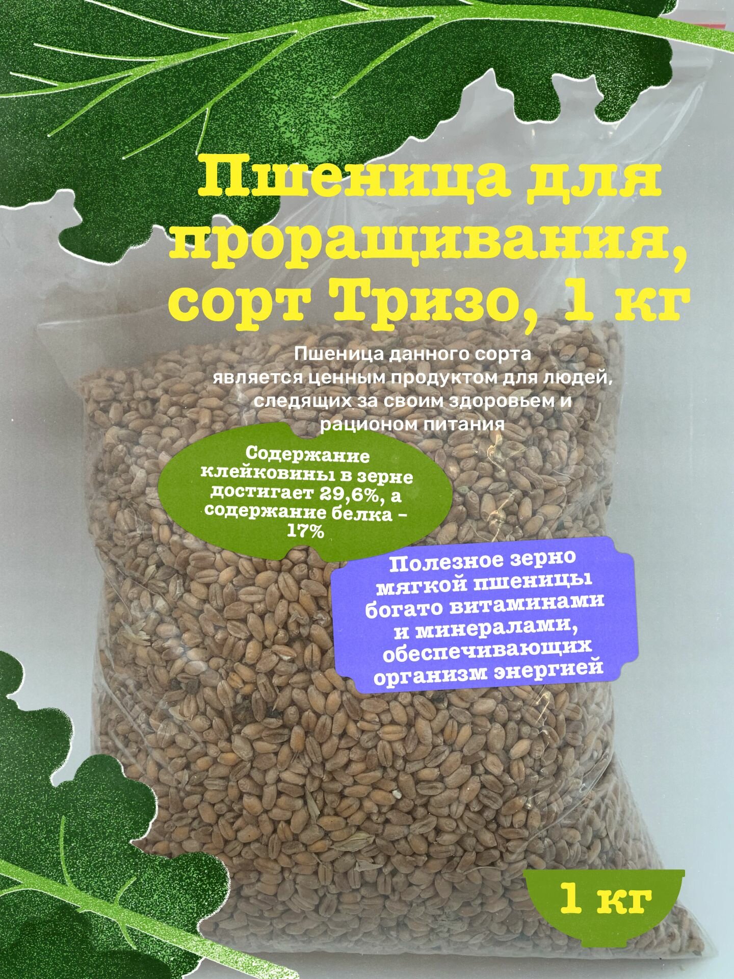 Пшеница для проращивания, сорт Тризо, 1 кг