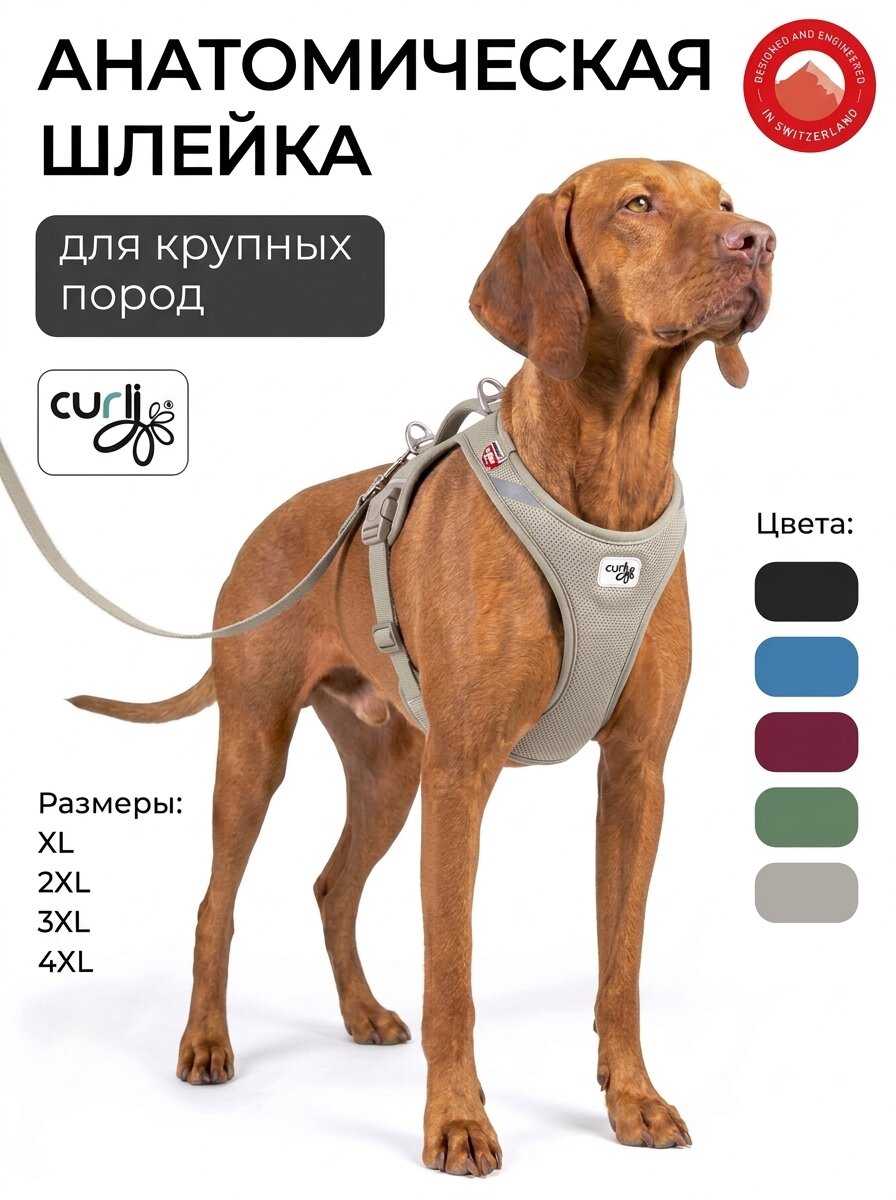 Шлейка для собак крупных пород Curli Belka анатомическая, бежевая, XL