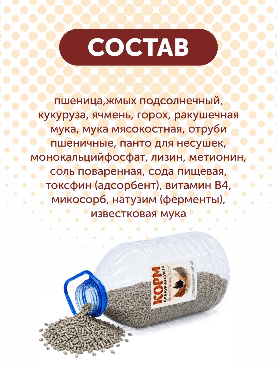 Корм для кур несушек — фото 1