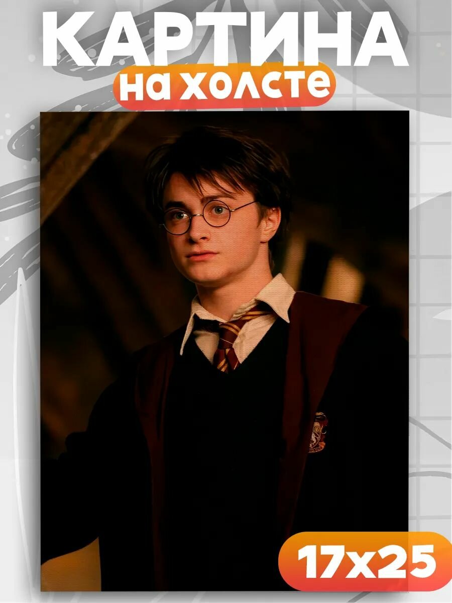 Картина на стену Гарри Поттер, на подрамнике, 1шт, 25х17 размер.