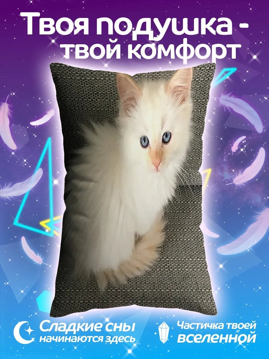 Подушка дакимакура Белый котенок