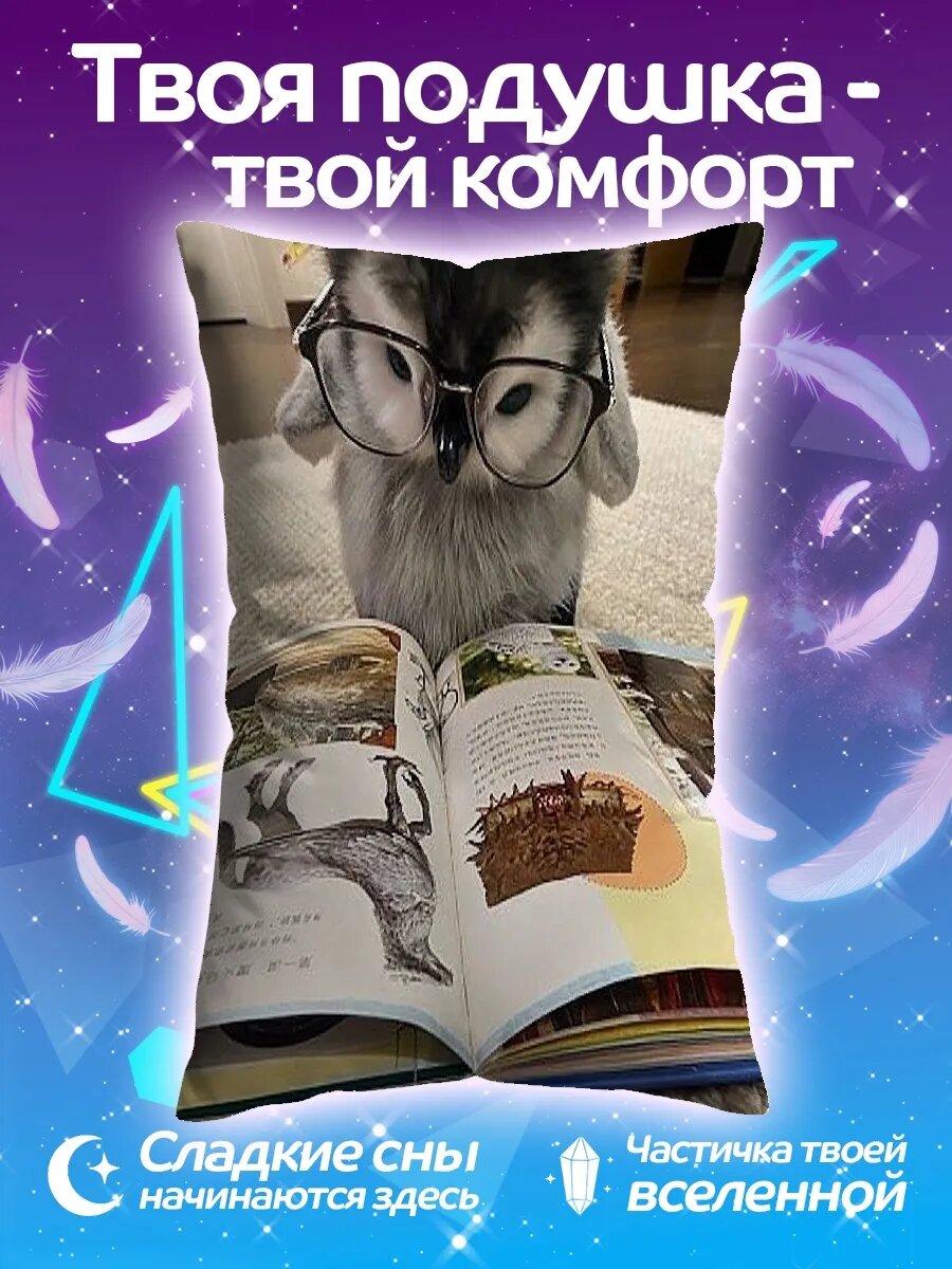 Подушка дакимакура Сова в очках читает