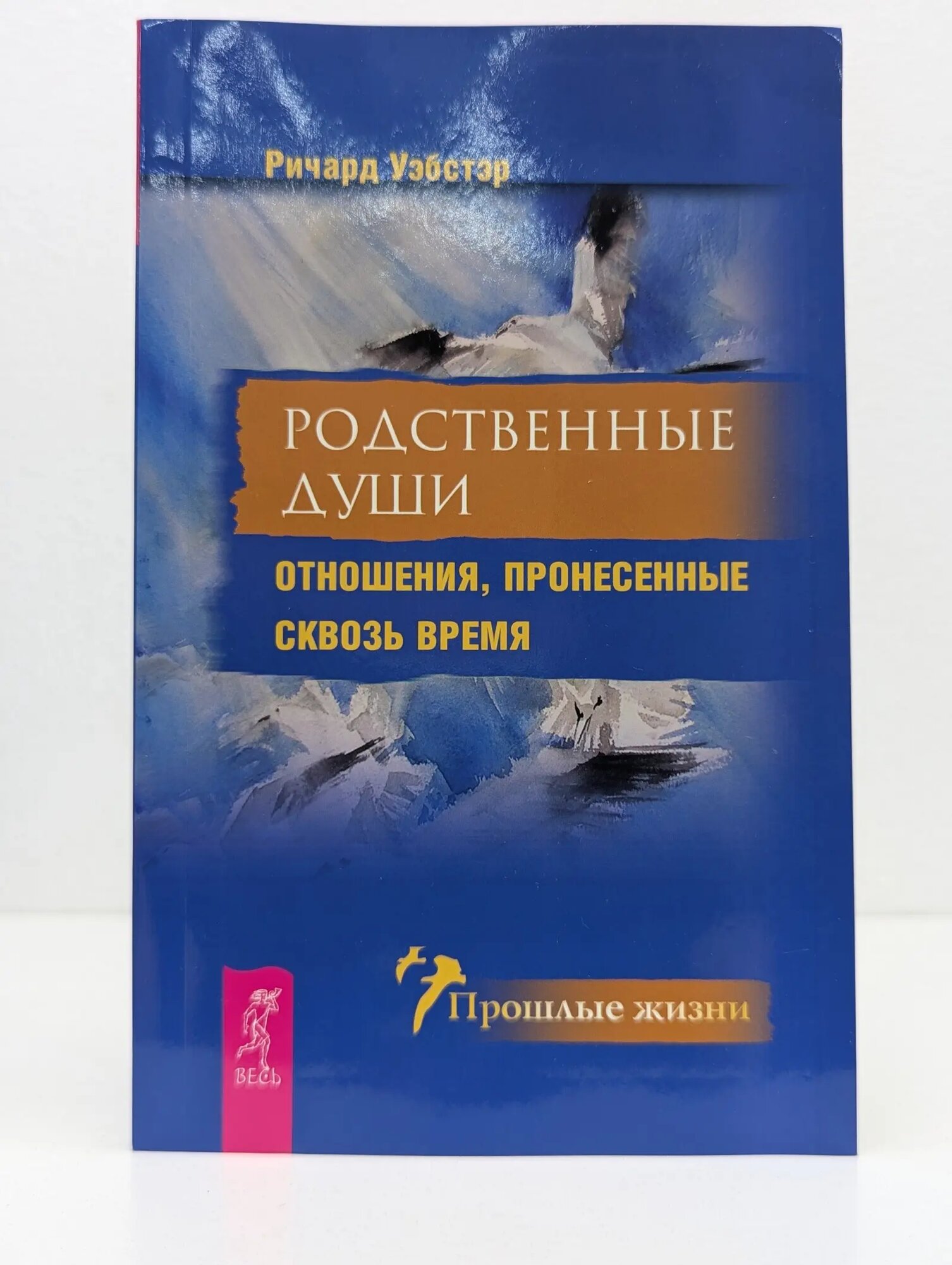 Прошлые жизни. Родственные души. Отношения, пронесенные сквозь время Уэбстер Ричард 2011