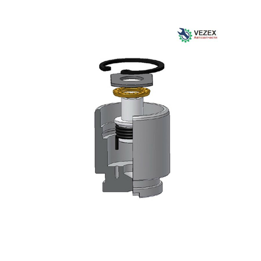 FRENKIT K304503 Поршень Суппорта с Механизмом