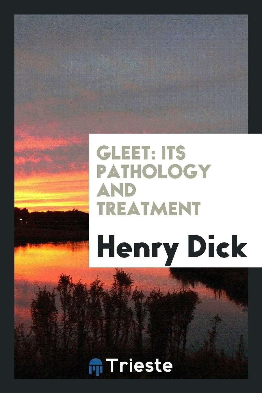 Gleet. Its Pathology and Treatment