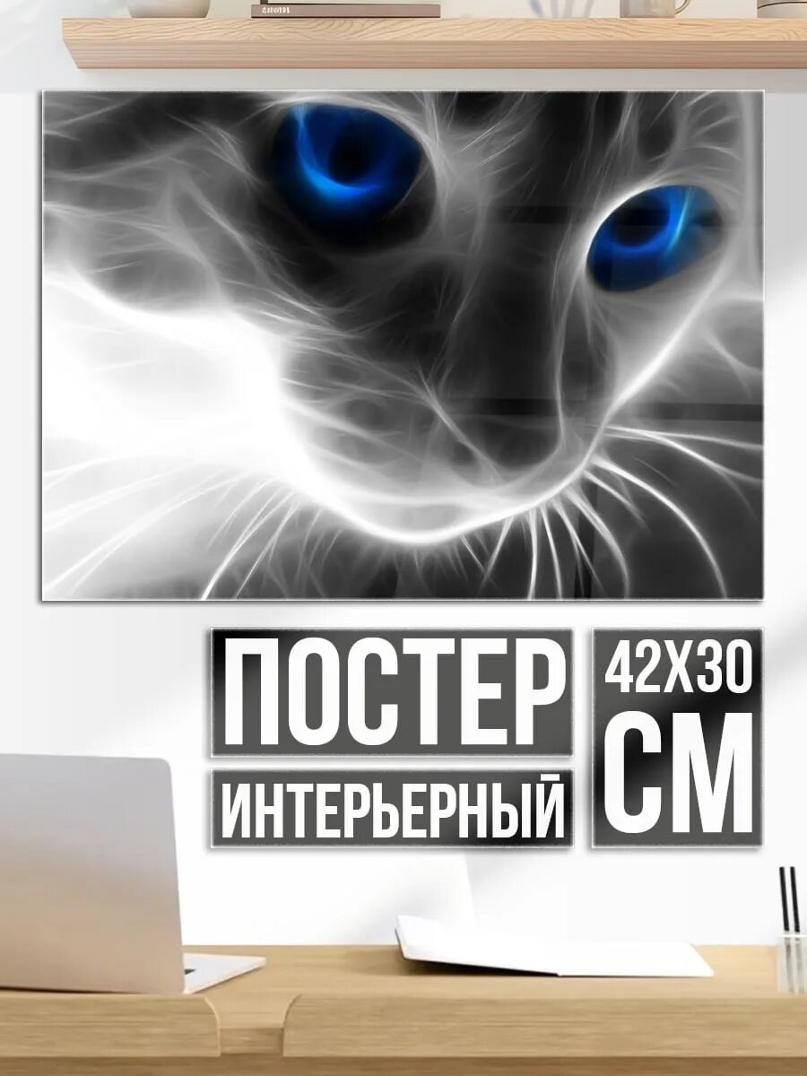 Плакат постер Синие глаза кошки