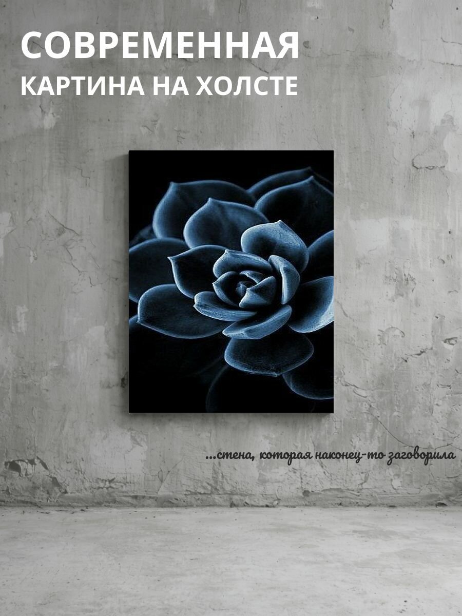Картина на холсте Цветок 50x70 см