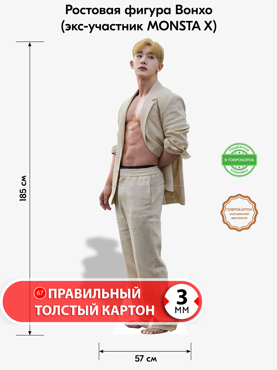 Аксессуар для фотосессий, Вонхо (экс-участник) (Ex-MONSTA X), ростовая фигура