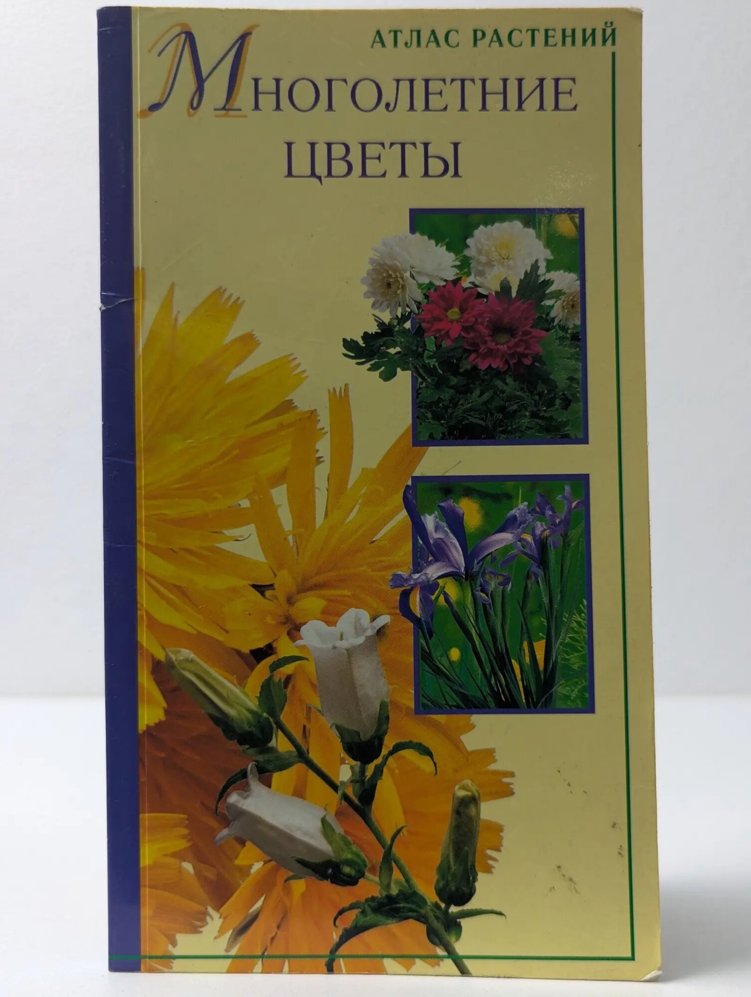 Атлас растений. Многолетние цветы Хайрова Леннара 2005