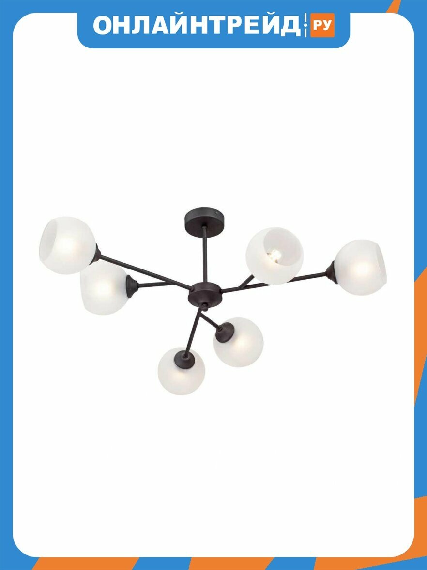 Потолочная люстра Vitaluce V3791-1/6PL