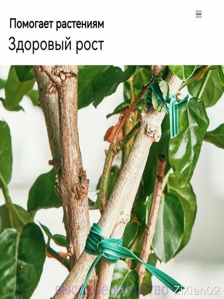 Подвязка ZiXian02 зелёная на катушке, длина 100 м, для цветов и садовых растений, для сада — фото 1