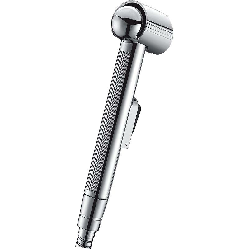 Лейка для гигиенического душа WasserKRAFT A043, хром