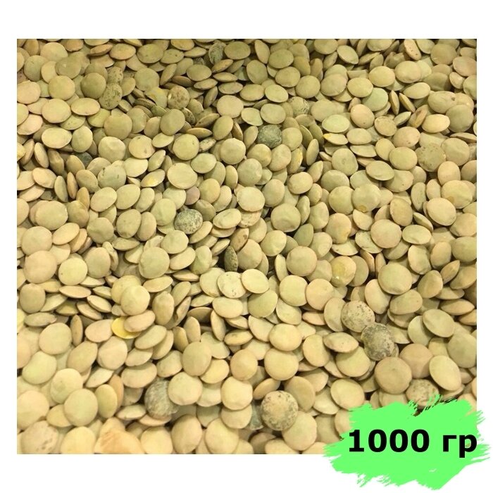 Чечевица зеленая Высший сорт, Вегетарианский продукт, Vegan 1000 гр, 1 кг