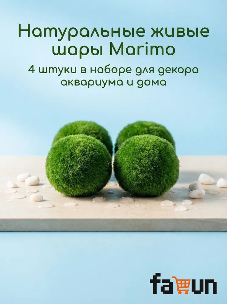 Декорация для аквариума/террариума