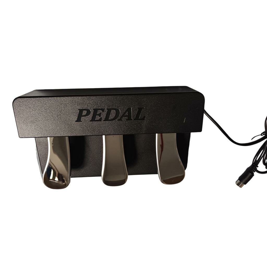 3-педальная клавиатура с мягким сустейном (Sostenuto Sustain Pedal) для цифровых пианино и клавиатур.